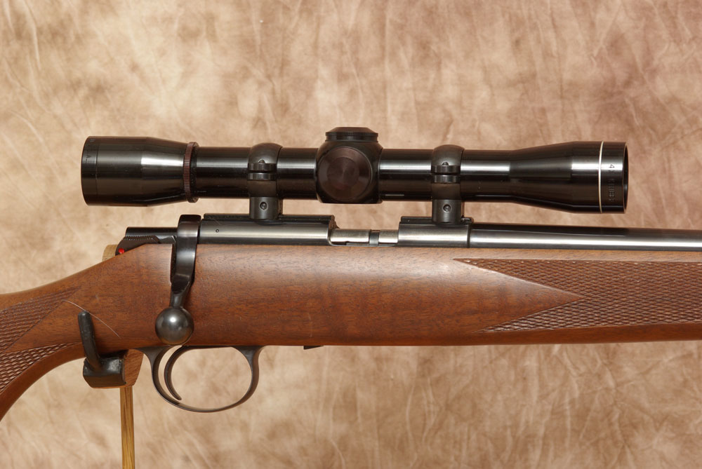 Stock Check in Aisle 82 | Rimfire Central Firearm Forum